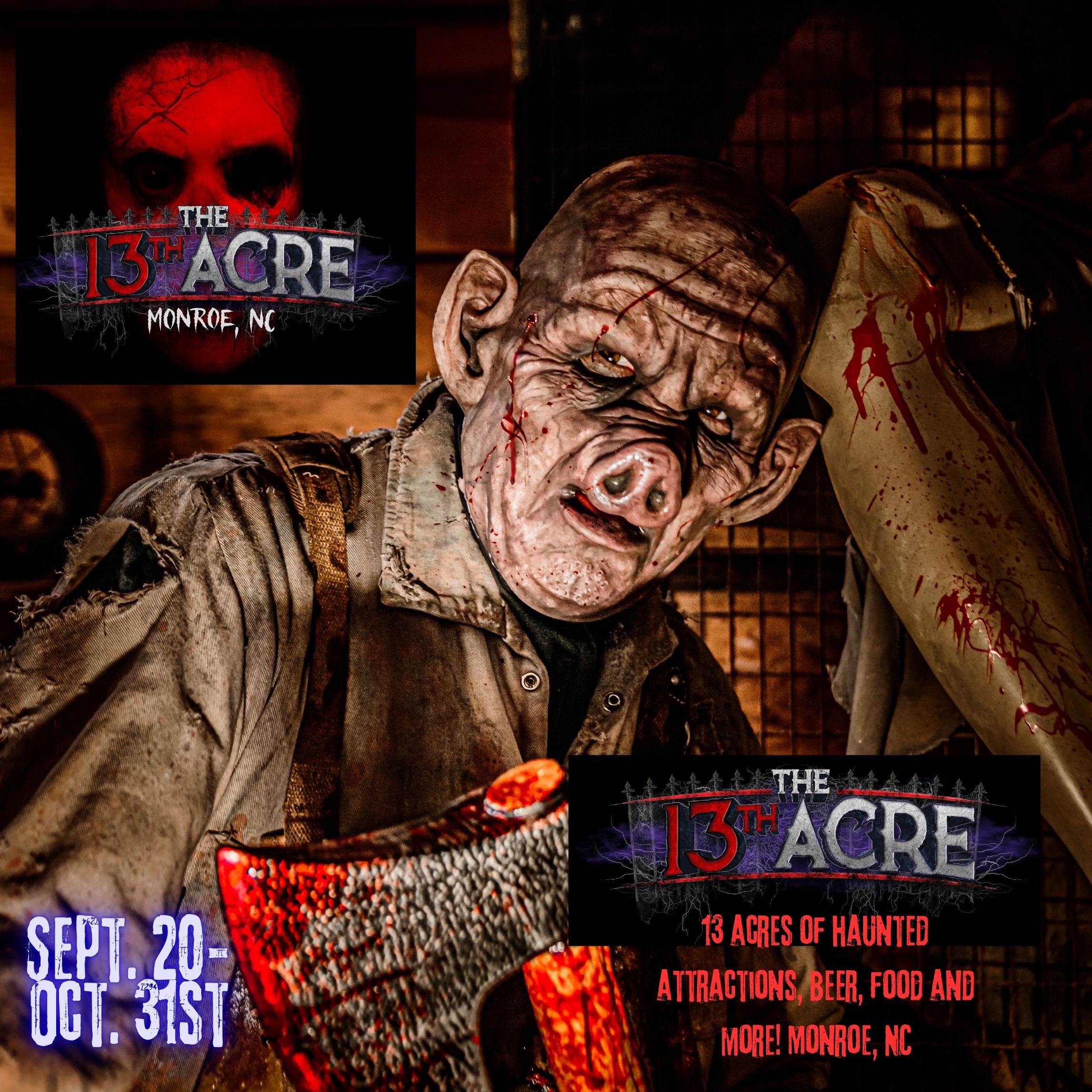 2024 Question and Answer With The 13th Acre